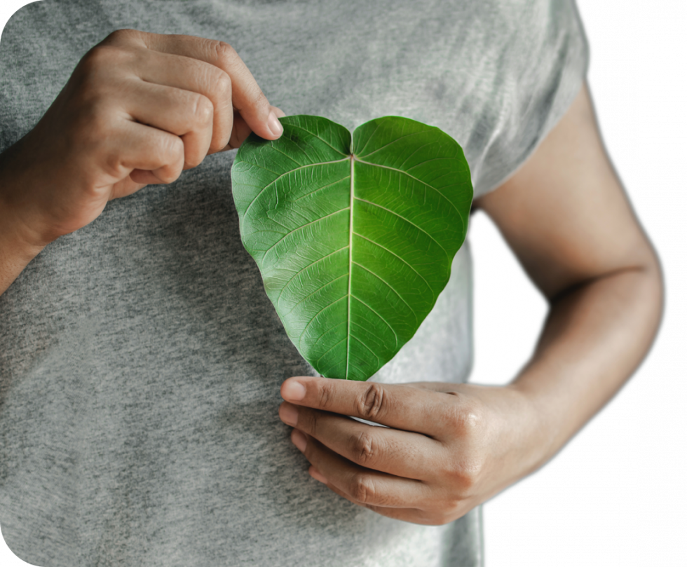 AlEn USA | Biodegradable Cleaning Solutions for Every Home