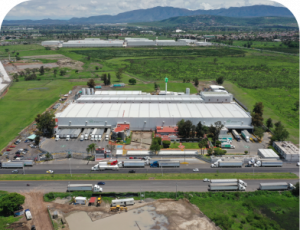 AlEn USA | Biodegradable Cleaning Solutions for Every Home